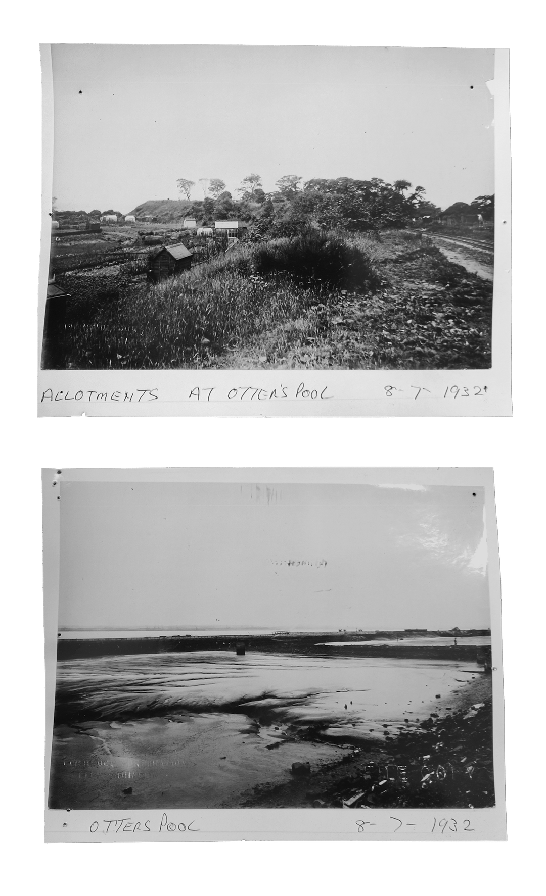 Mersey Road Allotment