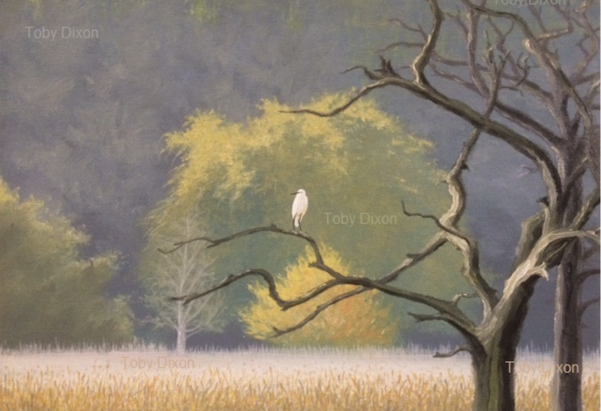 TOBY DIXON — Fine Art Painter
